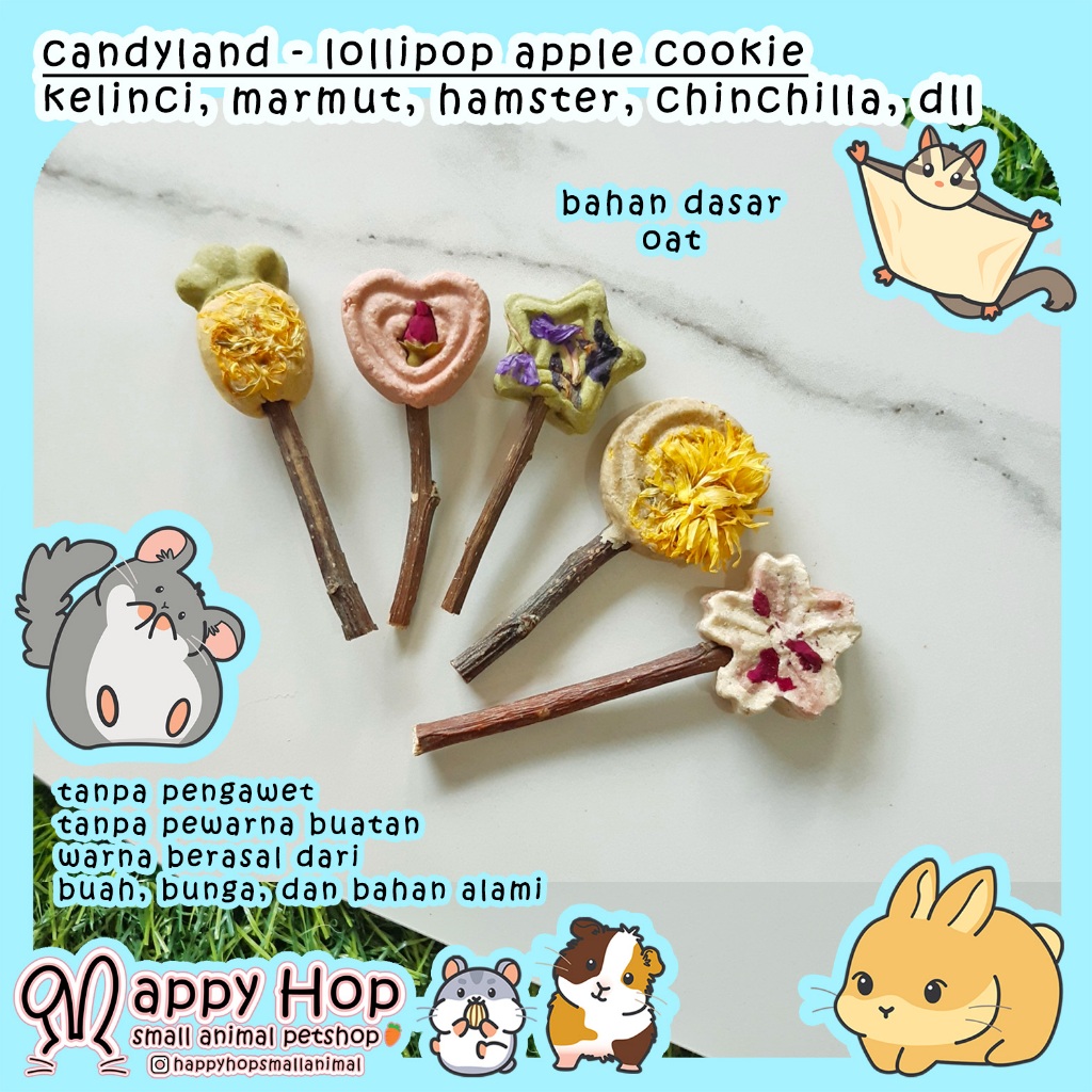 Jual Candyland Lollipop Apple | snack kelinci, marmut, hamster ...