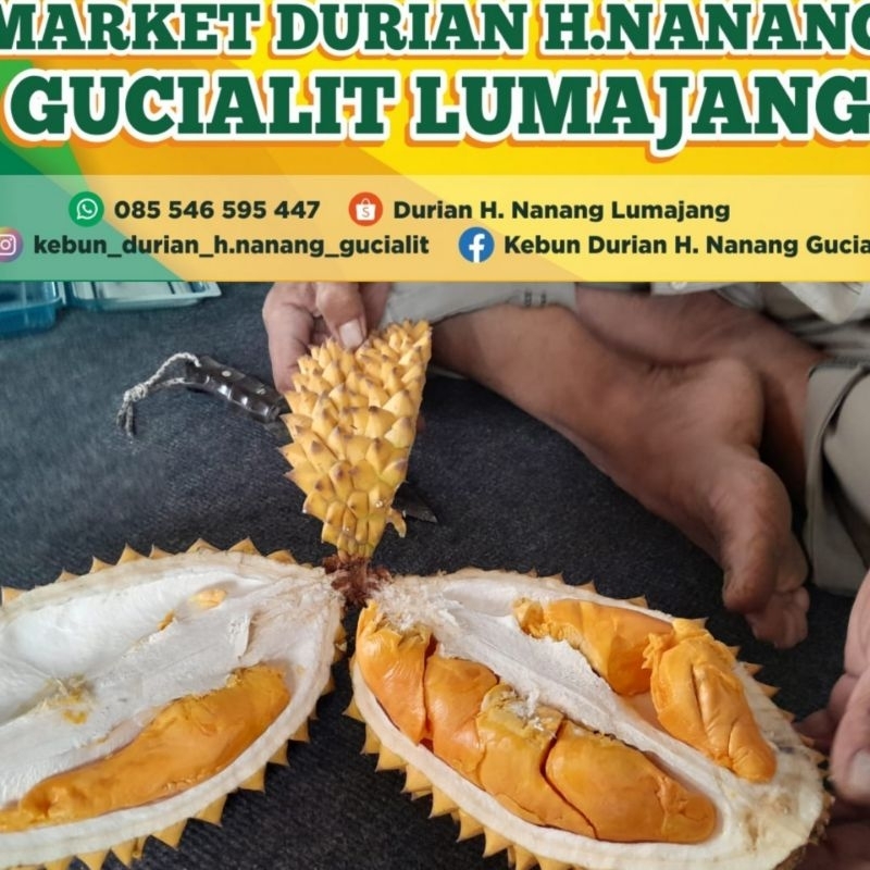 Jual Durian Oren (Lay Thailand) | Shopee Indonesia