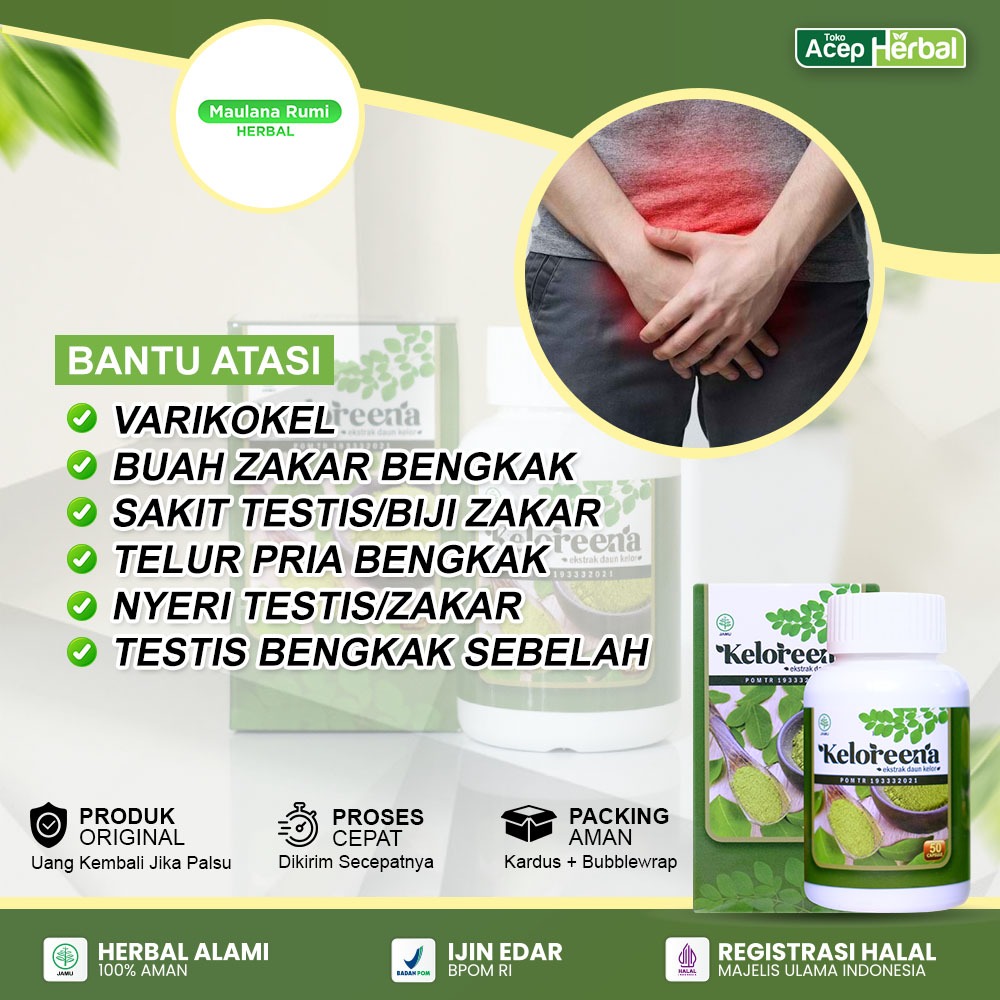 Jual Obat Varikokel Buah Zakar Bengkak Nyeri Testis Hernia Turun Berok ...