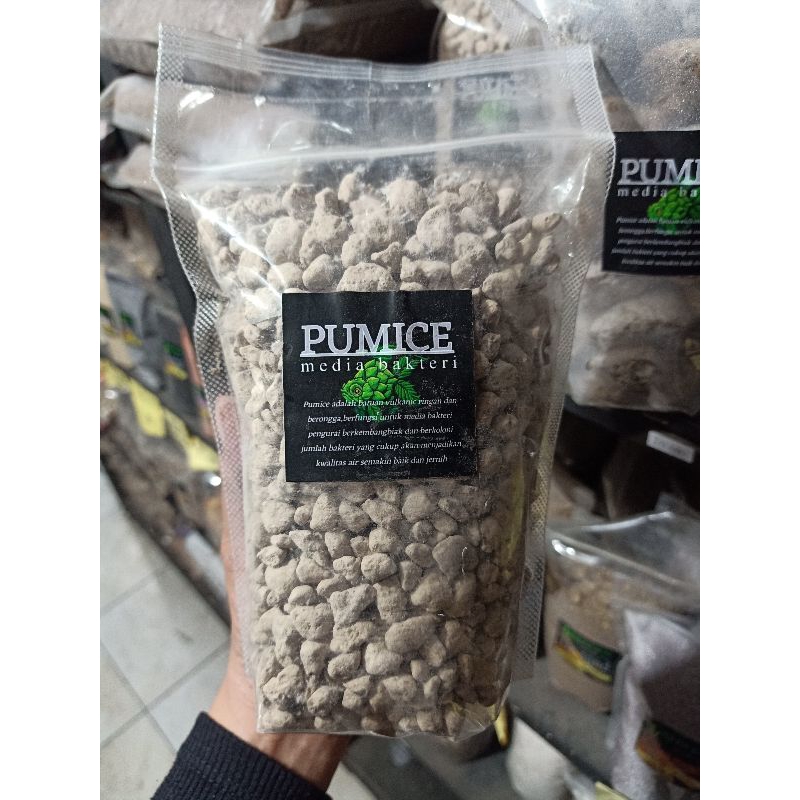 Jual BATU PUMICE kemasan 1/2 liter(batu apung) | Shopee Indonesia