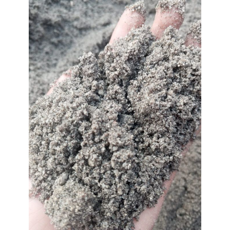 Jual pasir cuci cilegon 1 truk (HARAP BACA DESKRIPSI) | Shopee Indonesia