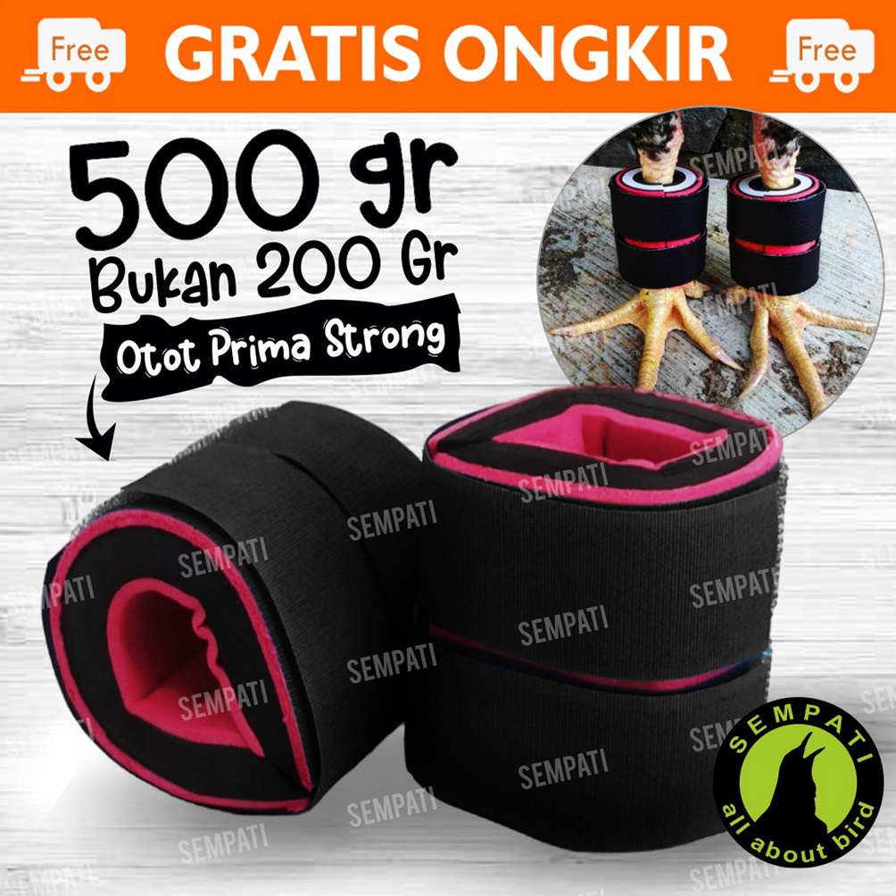 Jual Bests3ller BARBEL AYAM JAGO ADUAN PAKET BEGEL AYAM BANGKOK 500 ...