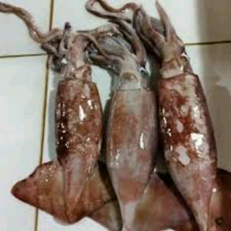 Jual Cumi jumbo fresh / CUMI KONDOMM 1KG | Shopee Indonesia