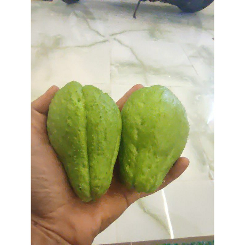 Jual Buah Labu Siam Sayur Labu Siam Segar 1 kg | Shopee Indonesia