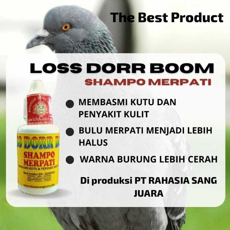 Jual Shampo Burung Merpati LOSS DORR BOOM RAHASIA SANG JUARA membasmi ...