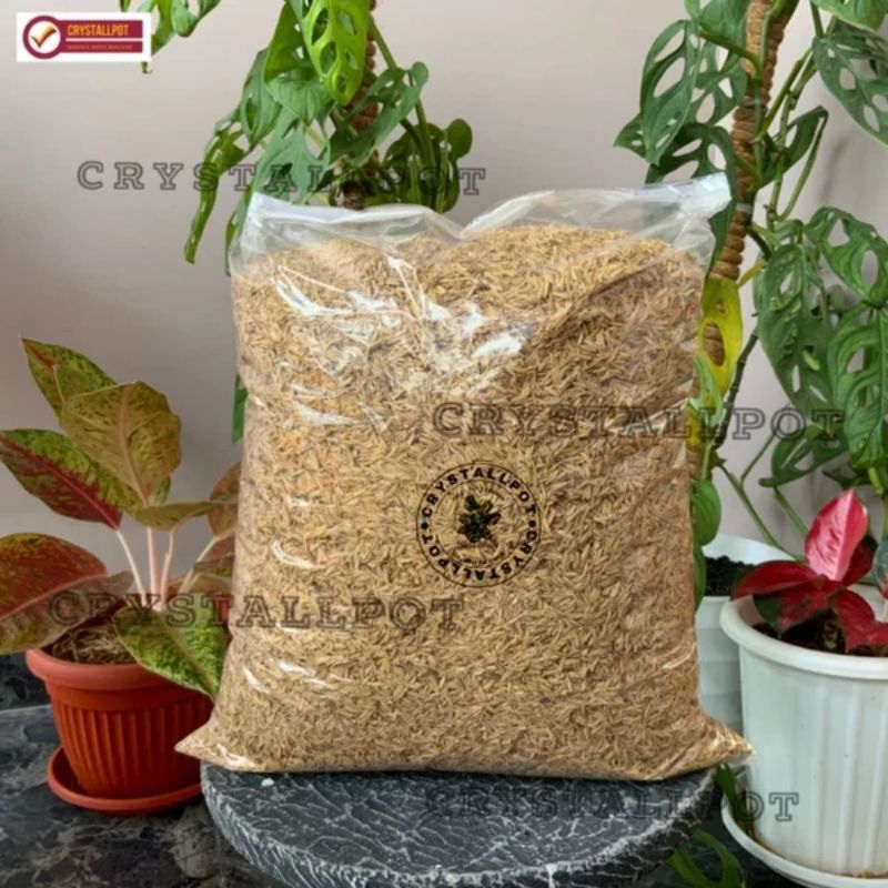 Jual Sekam Mentah Sekam 1 KG Kering Sekam Media tanam Pot Sekam Kayu ...