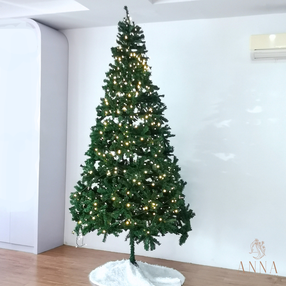 Jual Pohon Natal 3 Meter Christmas Tree Pohon Terang Cemara Besar ...