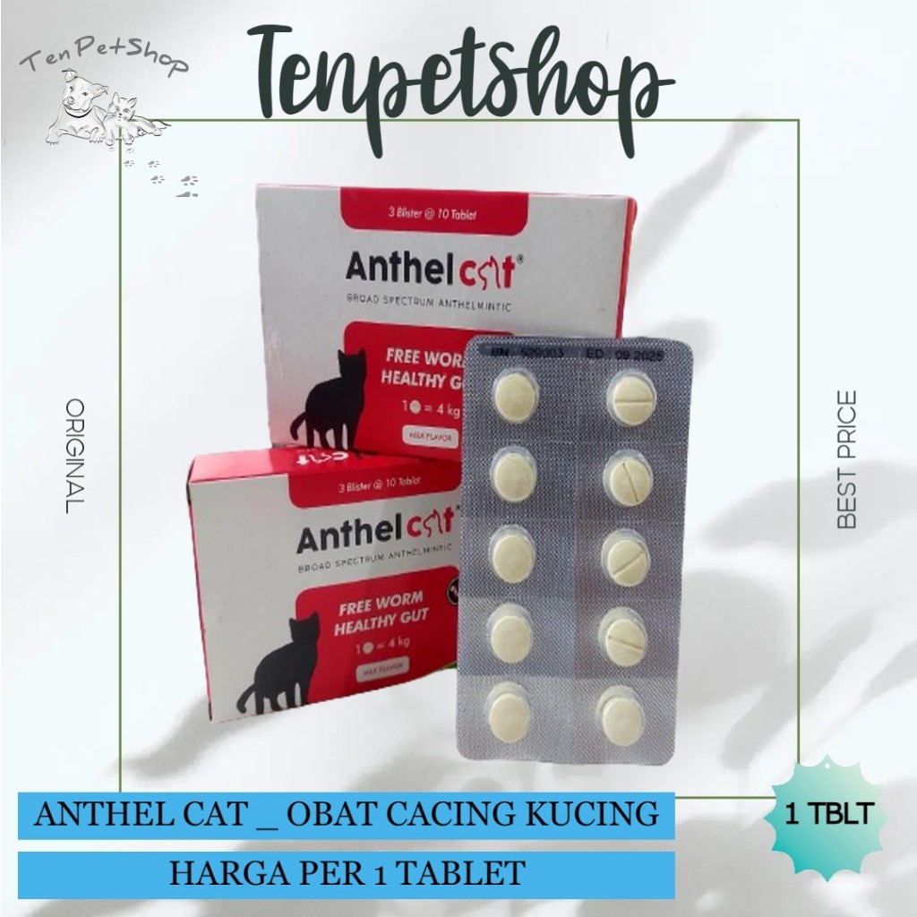 Jual ANTHEL CAT // OBAT CACING KUCING | Shopee Indonesia