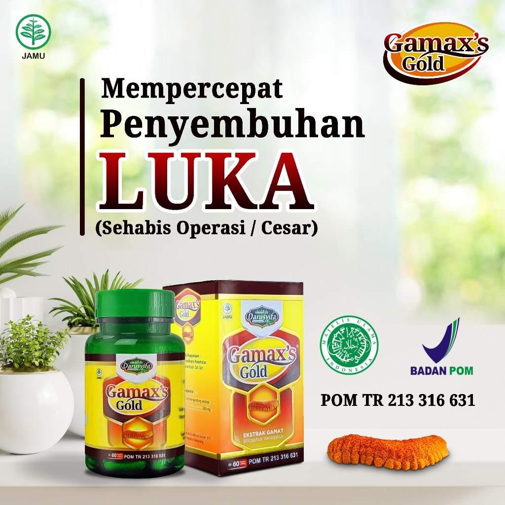 Jual GAMAX'S GOLD Kapsul Gamat Emas Original Obat Luka Pasca Operasi ...
