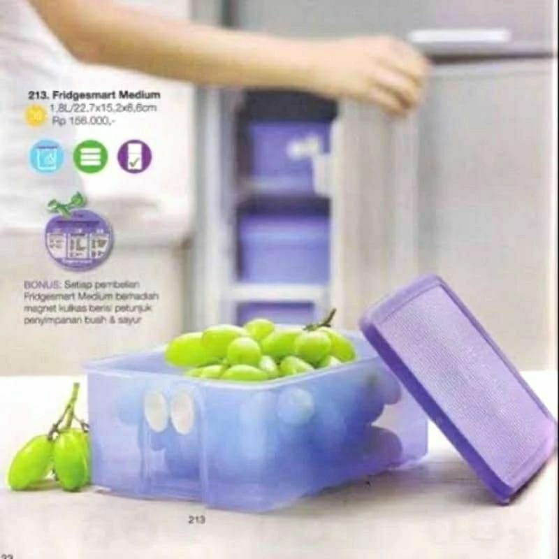 Jual TUPPERWARE Fridgesmart medium 1,8L FRIDGE SMART | Shopee Indonesia
