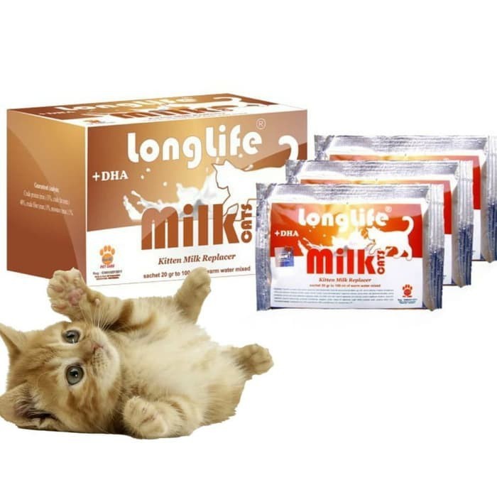 Jual Susu Kucing Kitten Long Life 20Gr Raid All Longlife milk Kitten Coklat | Shopee Indonesia