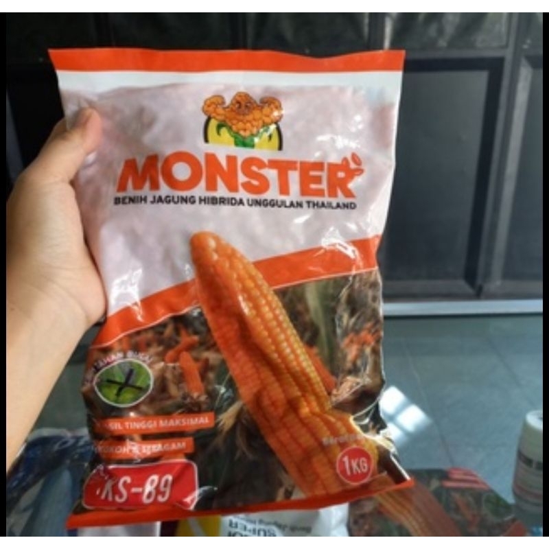Jual Benih Jagung Hibrida KS-89 Monster 1Kg | Shopee Indonesia