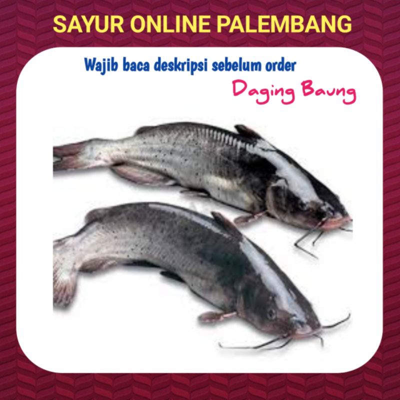 Jual Daging Ikan Baung Laut 1kg - Pasar Toko Warung Sayur Ikan Segar ...