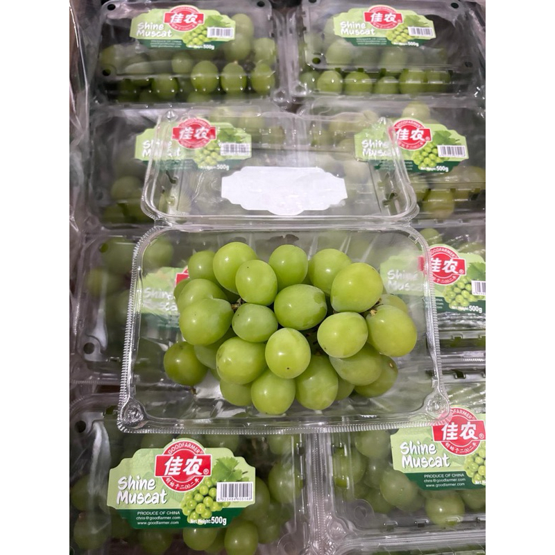 Jual muscat pack ijo 500gr | Shopee Indonesia
