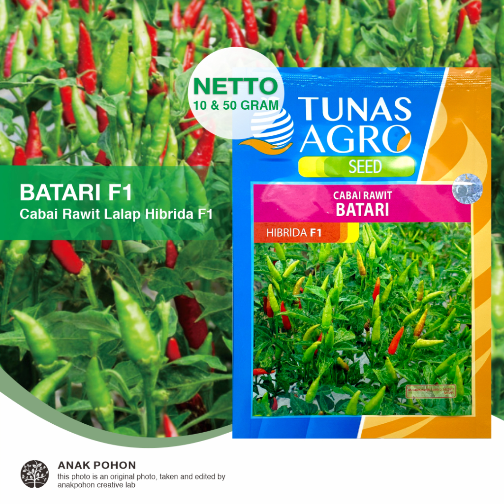 Jual (1 PACK) Benih Cabai Rawit Hijau Lalapan BATARI F1 Hibrida Cabe ...