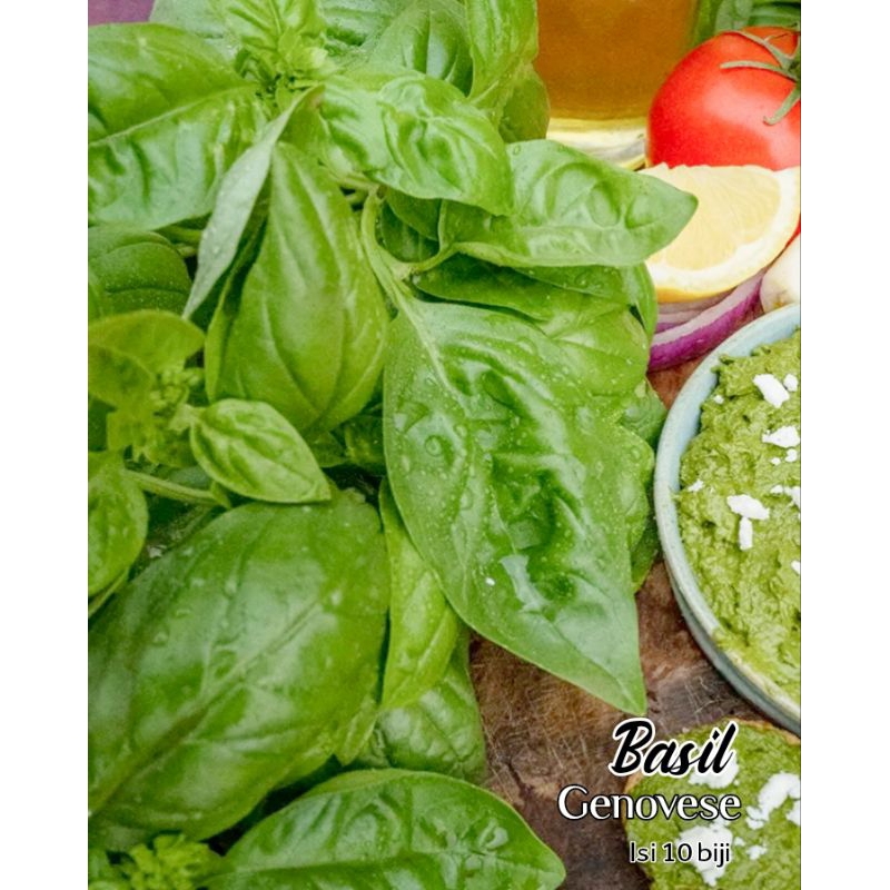 Jual Basil genovese benih heirloom seed | Shopee Indonesia