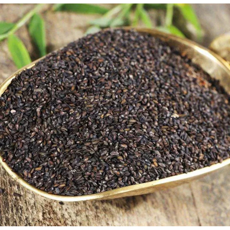 Jual Che qian zi / plantago seed / plantago asiatica (100gr) | Shopee ...