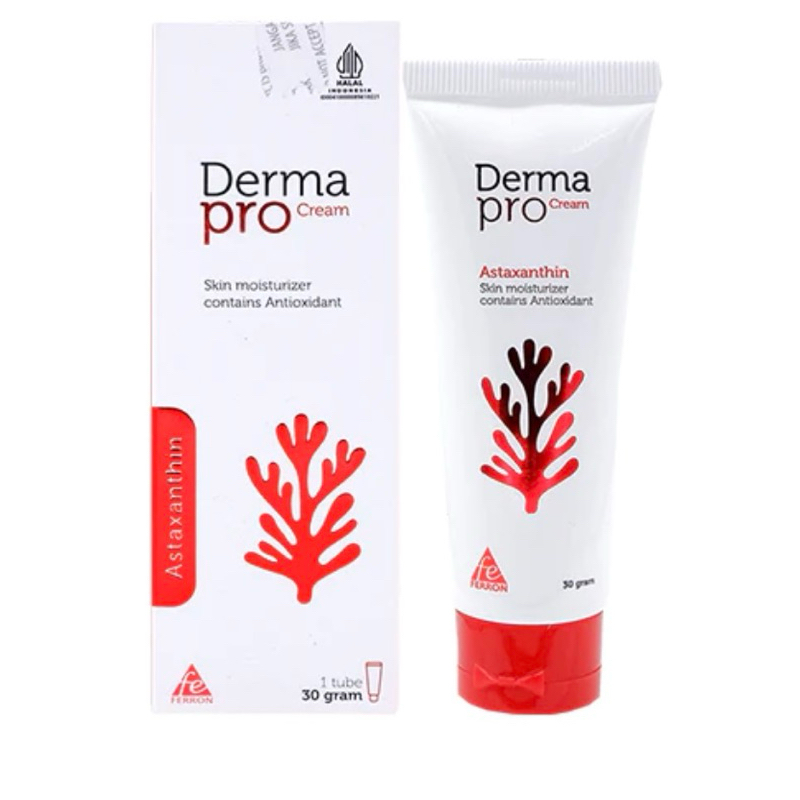 Jual DermaPro cream 30 gram ( krim antioxidant mencerahkan kulit ...