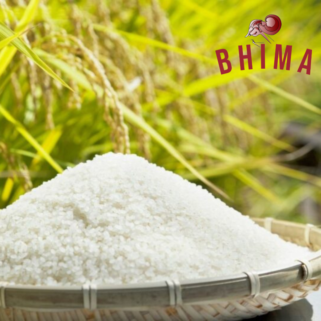 Jual Beras Putih Super 900 gram | Shopee Indonesia