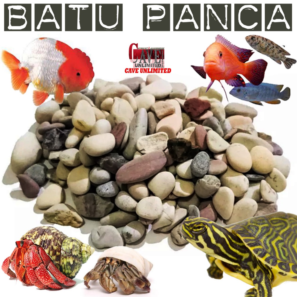Jual BATU ALAM PANCA WARNA HIASAN DEKORASI ALAS KANDANG KURA BRAZIL RES ...