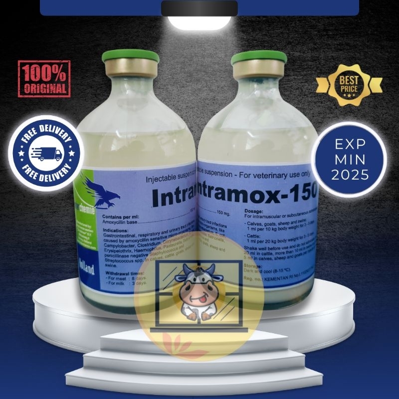 Jual Intramox-150 100ml - Antibiotik Membunuh Bakteri Pada Saluran ...