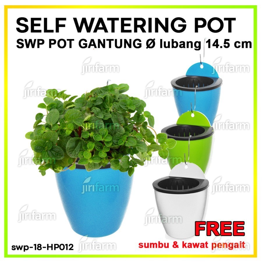 Jual Self watering Pot Gantung Pot Tanaman Hias ukuran 18x16x12.5 cm ...