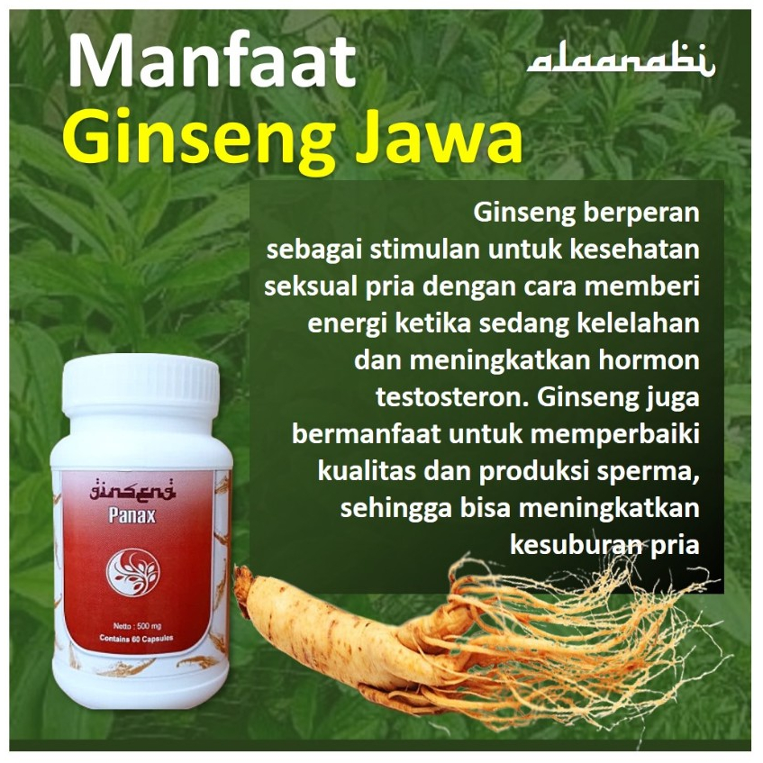 Jual Obat stamina pria kapsul ginseng jawa herbal jamu alami mencegah ...