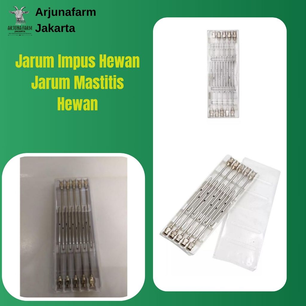 Jual Jarum Impus Hewan Jarum Mastitis Hewan Panjang 9 Cm Dua Lubang ...