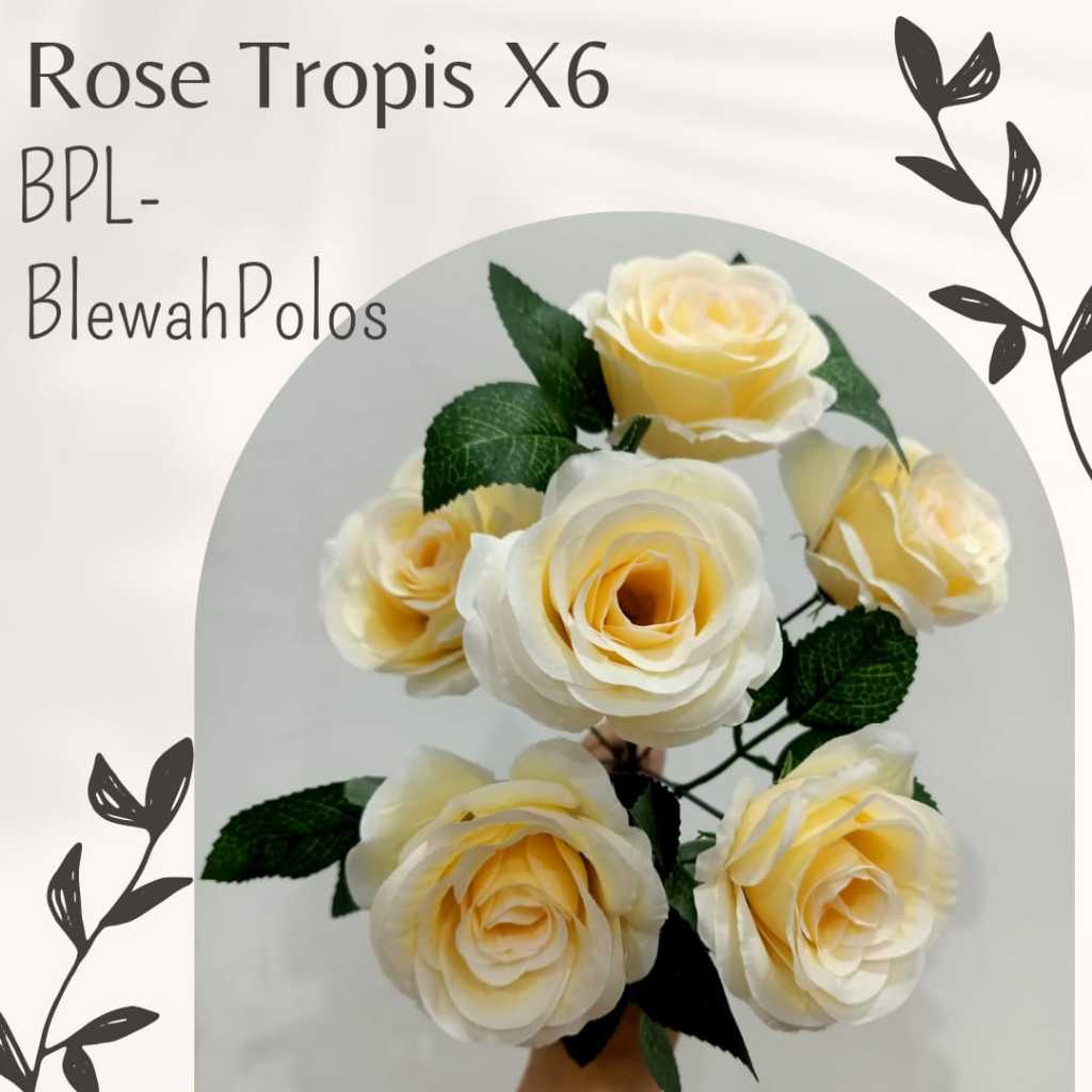 Jual Bunga Mawar Rose Tropis Cabang 6 / Ecer RT6 | Shopee Indonesia