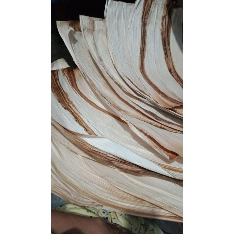 Jual pelepah pinang (upih/ope) | Shopee Indonesia