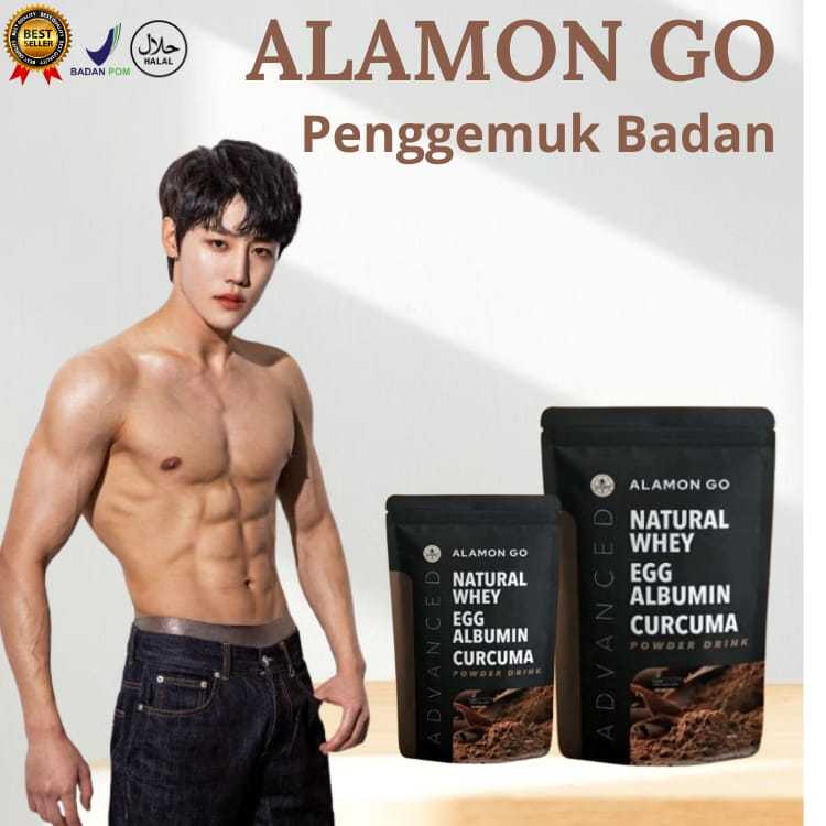 Jual Alamon Go Penambah Berat Badan Efektif dan Praktis Kombinasi ...