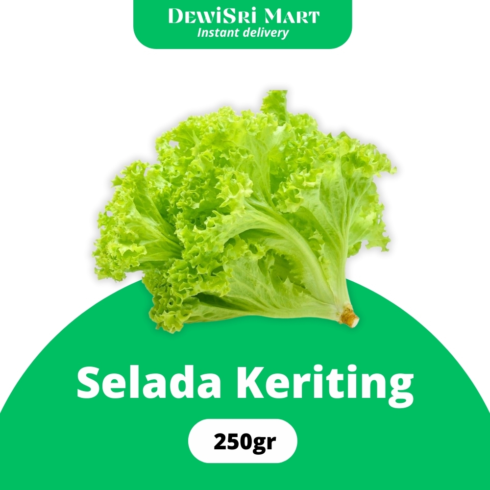 Jual Selada Keriting Fresh 250gr - Dewi Sri Mart | Shopee Indonesia