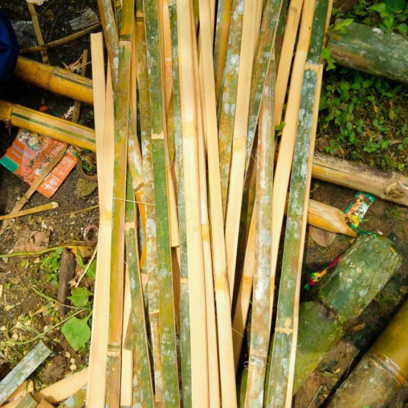 Jual Bambu Bilah - Ajir Tanaman - Bambu Turus - Bambu Belah | Shopee ...