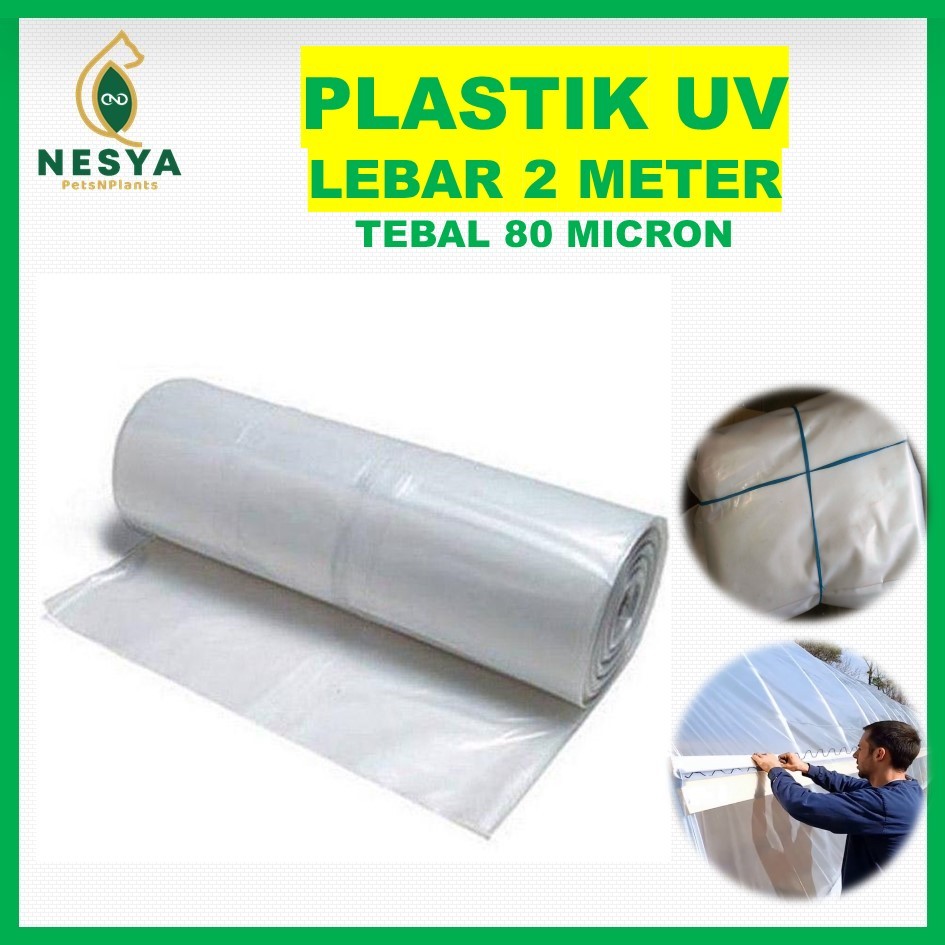 Jual Plastik UV Lebar 2 Meter Tebal 80 micron Atap Greenhouse ...