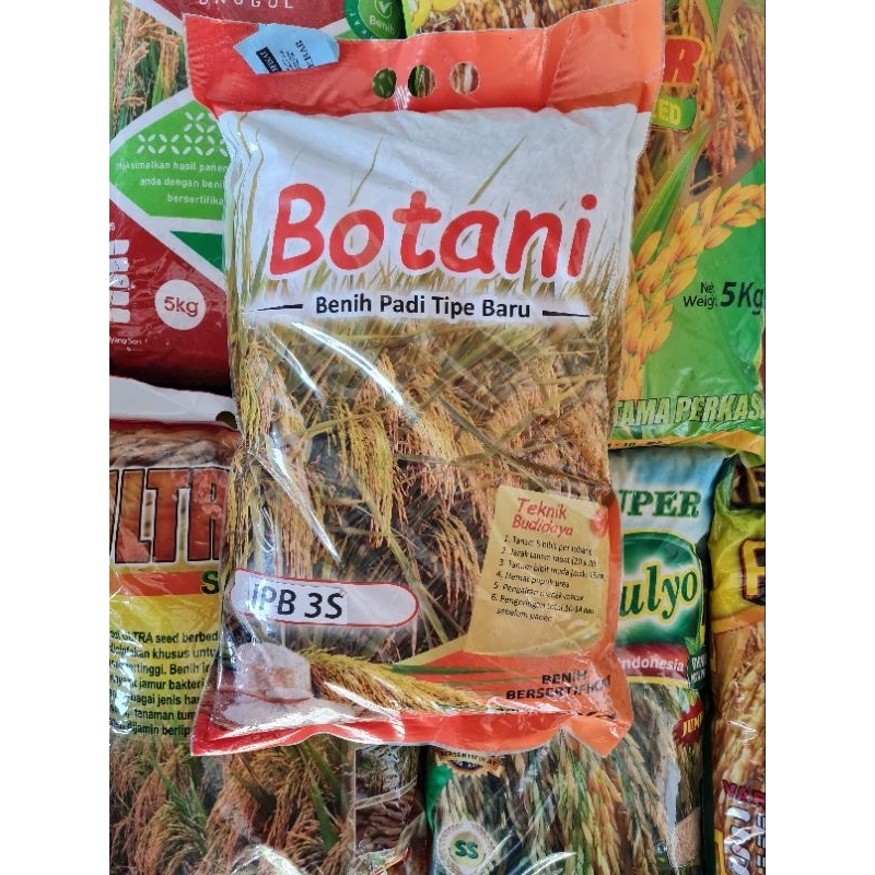 Jual Bibit Padi IPB 3S Botani 5kg | Shopee Indonesia