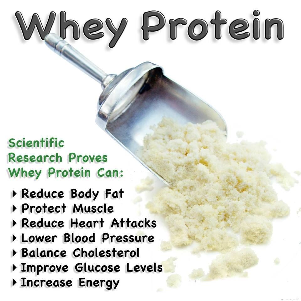 Jual Susu Protein Merk NZMP Repack (500 Gram) / Whey Protein ...