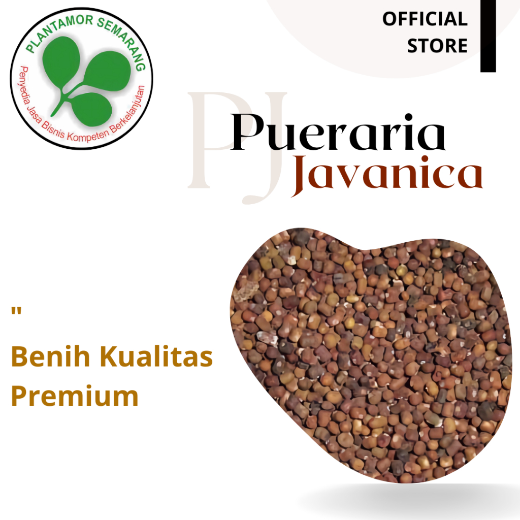 Jual Benih PJ 1 KG/ Pueraria javanica / BENIH LCC (Legume Cover Crop ...