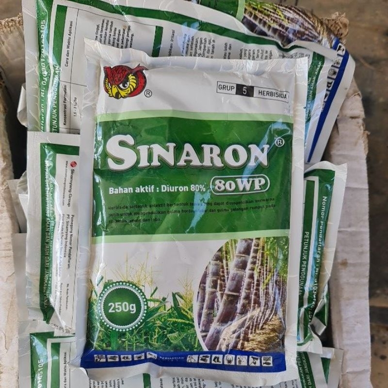 Jual PEMBEKU SINARON DIURON 80WP 250GR ORIGINAL | Shopee Indonesia