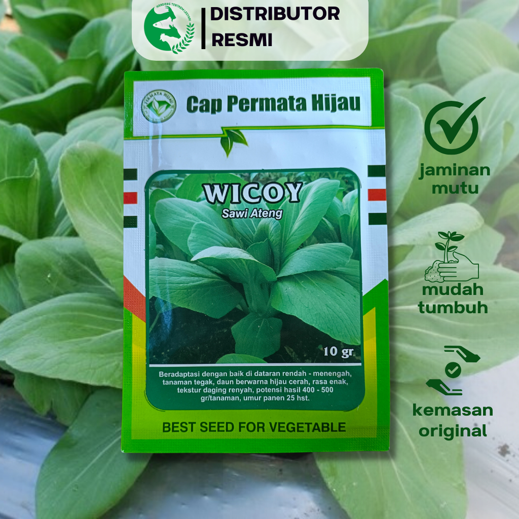 Jual Benih Sawi WICOY F1 10 Gram Sawi Daging Pakcoy Cap Permata HIjau ...