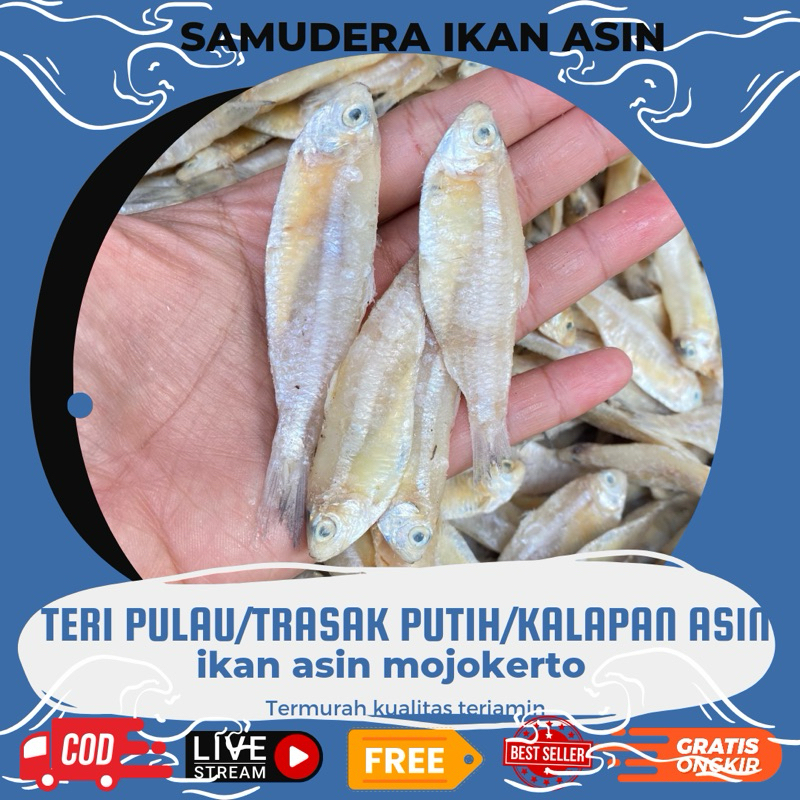Jual Ikan Asin Trasak/Teri Pulau 250gr Ikan Asin Pakang Harga Murah ...