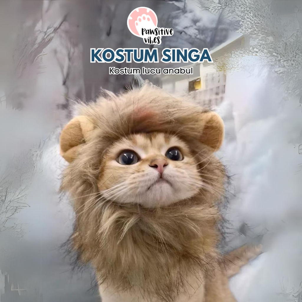 Jual Kostum Kucing Anjing Model Wig Rambut Singa Topi Cat Lion Hair ...