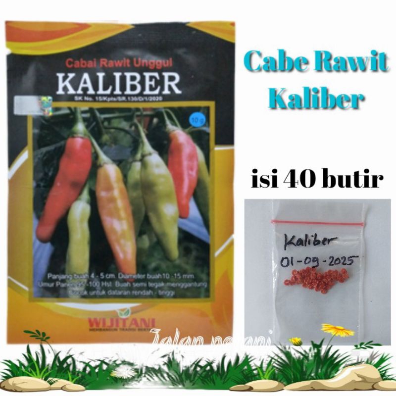 Jual Benih Cabe rawit kaliber kemasan Repack 40 butir | Shopee Indonesia
