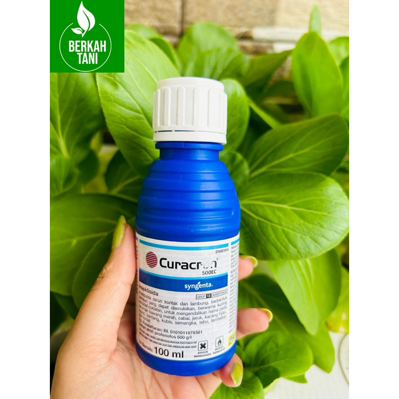Jual INSEKTISIDA CURACRON 500EC 100ML- Insektisida pembasmi hama dan ...