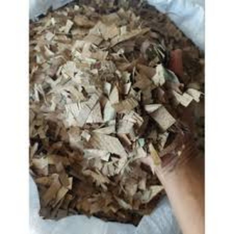 Jual Humus Bambu Andam Daun Bambu Subur | Shopee Indonesia