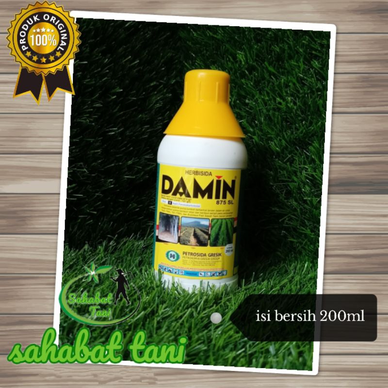 Jual HERBISIDA PADI DAMIN 875SL 200ml_DAMIN | Shopee Indonesia