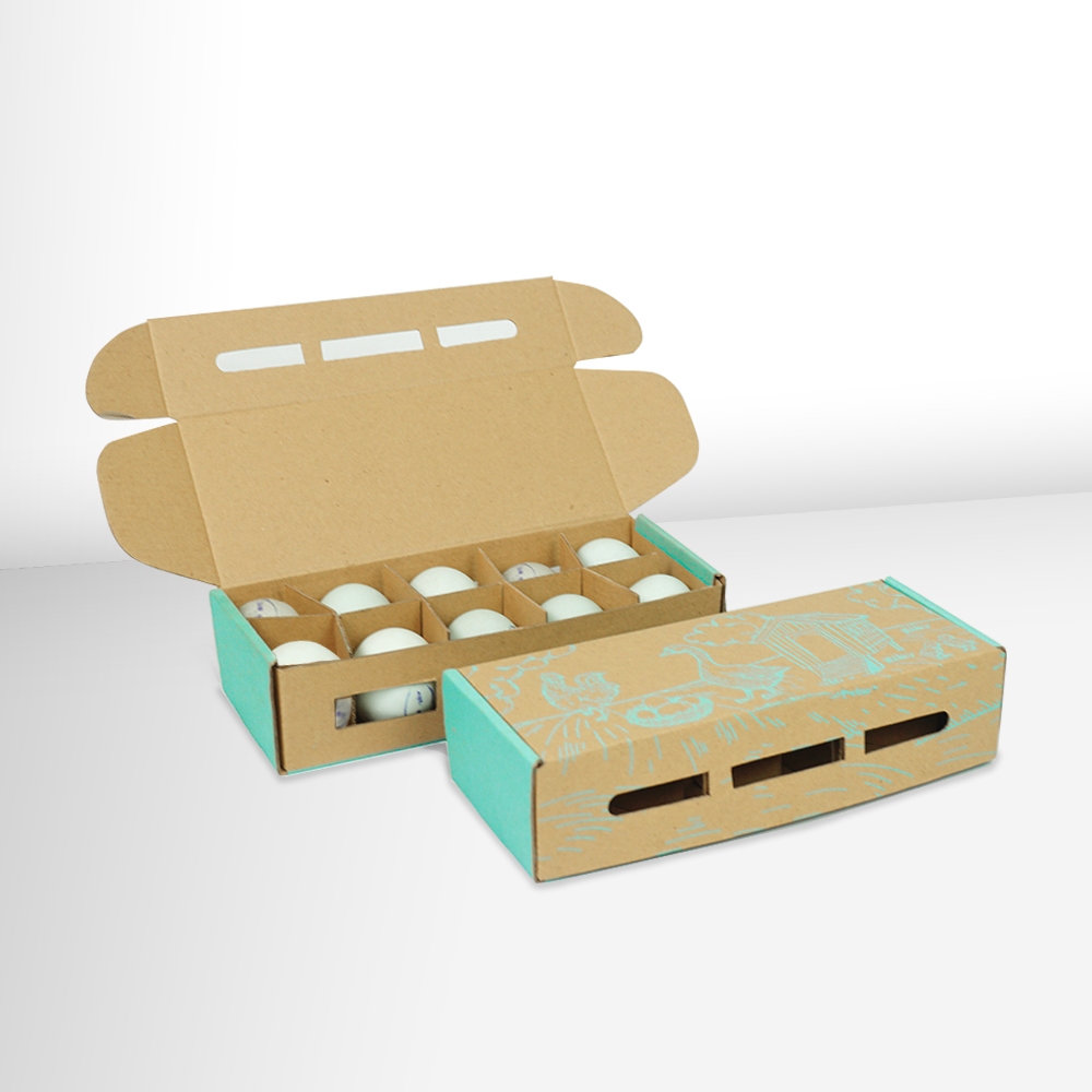 Jual Box Telur ASIN ISI 10 (25x10x6)+Sekat Box/kardus/Telur/Endok/Endog ...