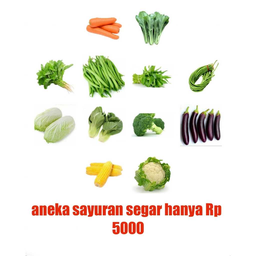 Jual aneka sayuran segar / sayur segar / sayur fresh / wortel ...