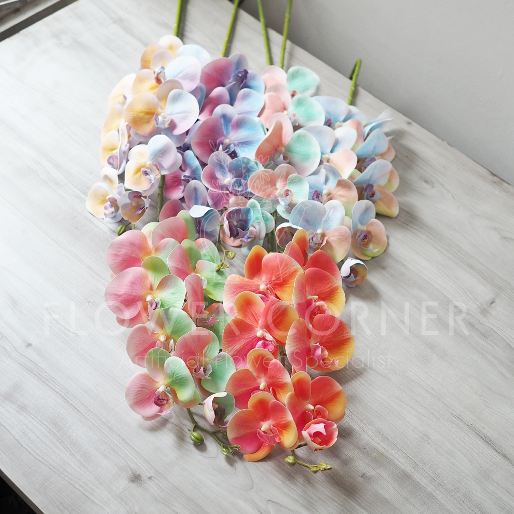 Jual Bunga Artificial Premium Anggrek Phalaenopsis Double Color Gradasi ...