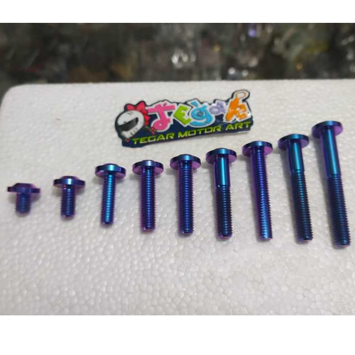 Jual Baut titanium gr5 Drat 12 atau m8 BigHead Lengkap Berbagai Ukuran Panjang | Shopee Indonesia