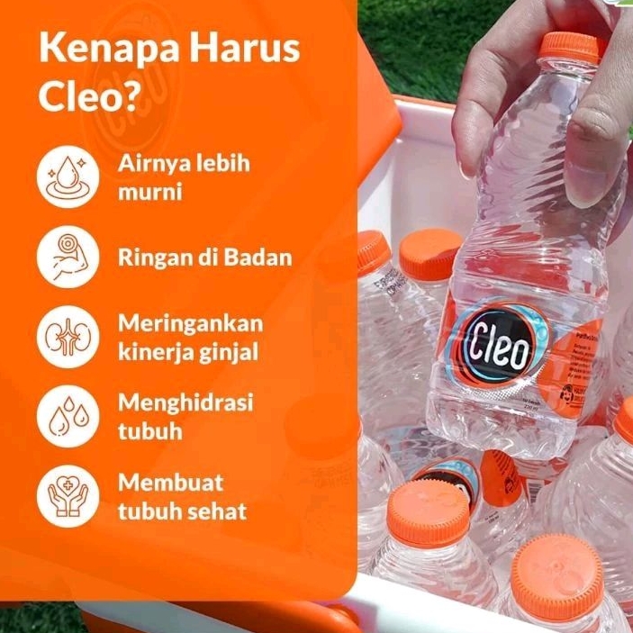 Jual Murah Cleo Smart 220ml (1 Pack isi 24 botol) | Shopee Indonesia